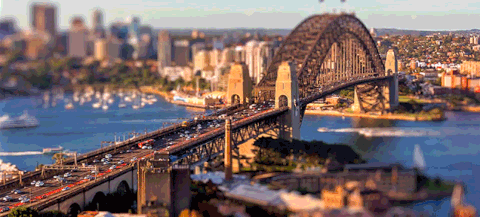 Sydney GIF - Find on GIFER