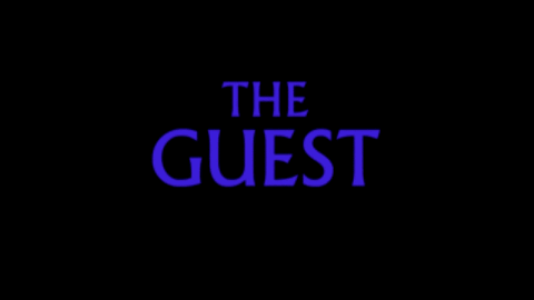 Guest GIF - Find on GIFER
