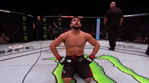 Ufc mma GIF - Find on GIFER