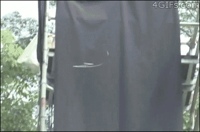 GIF flying snake nature flying - animated GIF on GIFER