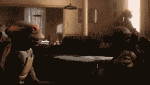 Rind pork GIF - Buscar en GIFER