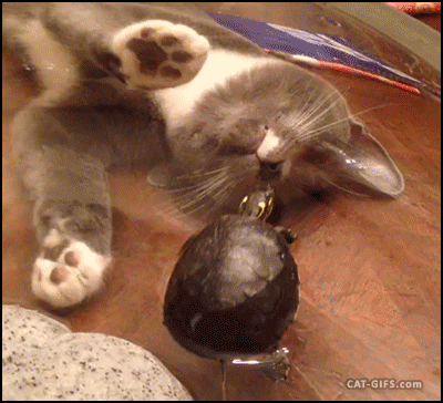 Reptiles GIF - Find on GIFER