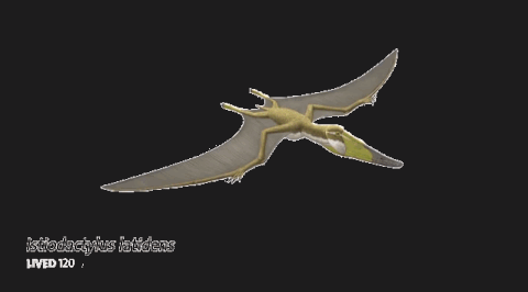 Deflated high quality GIF - Find on GIFER