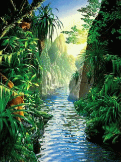 GIF jungle - animated GIF on GIFER - by Tygole