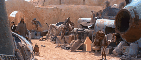 Winning winners 8x09 GIF - Find on GIFER