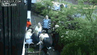 Fail firework catastrophe GIF - Find on GIFER