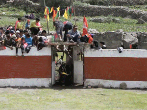 Sports animals peru GIF - Find on GIFER