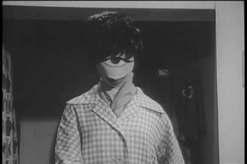 Shera the cat GIF - Find on GIFER