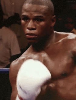 Floyd mayweather floyd GIF - Find on GIFER