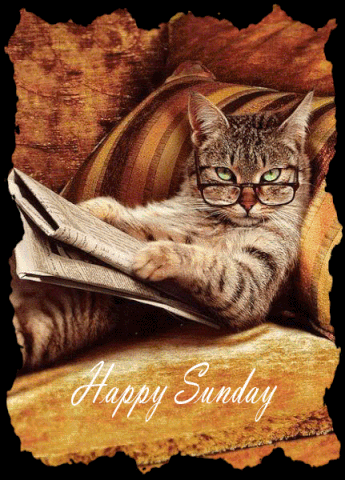 Sunday GIF - Find on GIFER