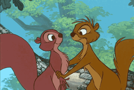 GIF squirrel sword in the stone disney - animated GIF on GIFER