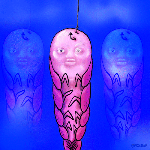 Foxadhd GIF - Find on GIFER