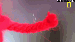 Gif Animado Presumido