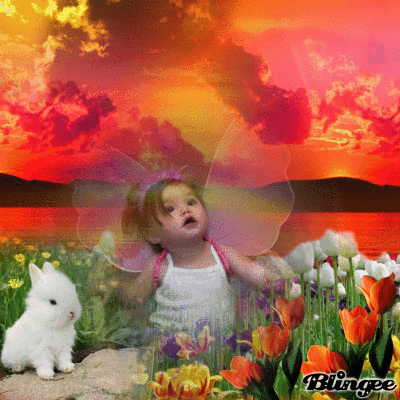 Fairy tale GIF - Find on GIFER