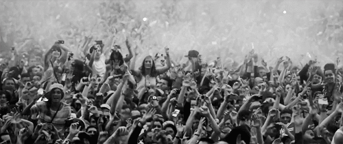 GIF festival - animated GIF on GIFER