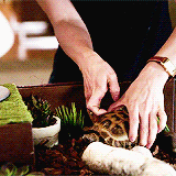 Elementary lucy liu joan watson GIF - Find on GIFER