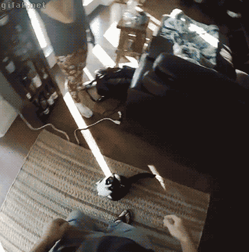 First person cat view GIF - Find on GIFER