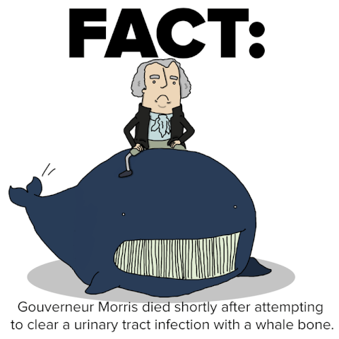 GIF facts - animated GIF on GIFER