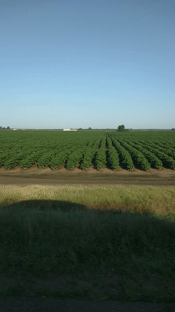 Wayne Knight Jurassic Park Gif