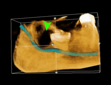 GIF wisdom - animated GIF on GIFER