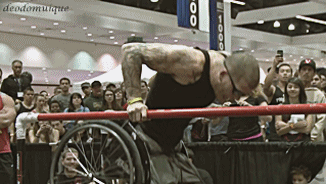 GIF bus driver stu - animated GIF on GIFER