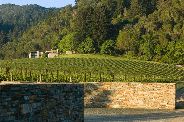 Vineyard GIF - Find on GIFER