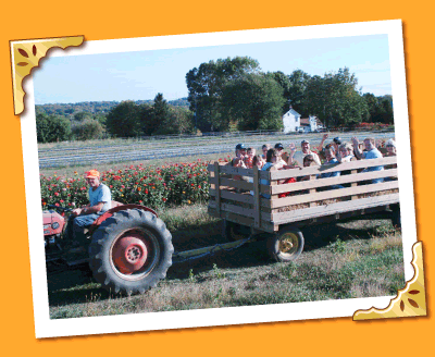 Farm GIF - Find on GIFER