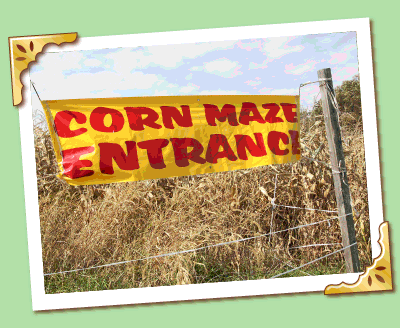 GIF corn - animated GIF on GIFER