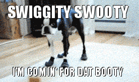 Ruff GIF - Find on GIFER