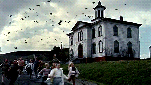 GIF ultimate fiddle - animated GIF on GIFER