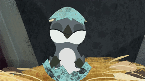 Puffin baby rock GIF - Find on GIFER