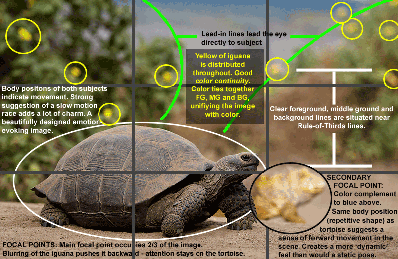 GIF art birds butte fire map - animated GIF on GIFER