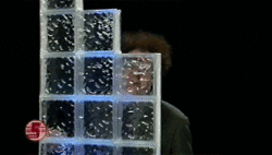 Brule dingus GIF - Find on GIFER