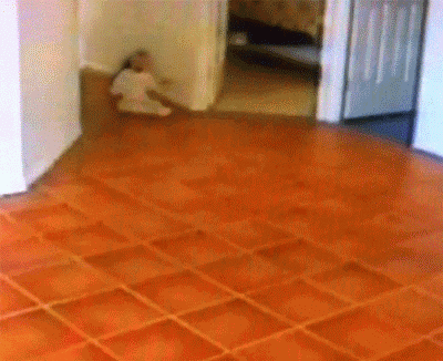 Weeee GIF - Find on GIFER