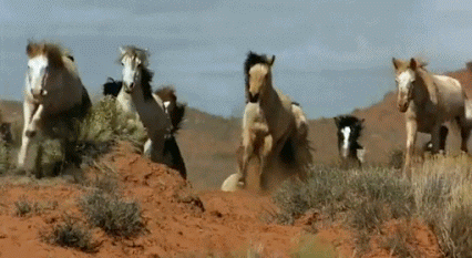 GIF lonesome - animated GIF on GIFER