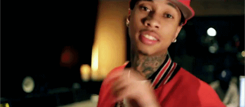 Tyga tyga tyga GIF - Find on GIFER