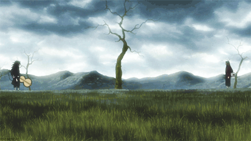 Setter irish GIF - Find on GIFER