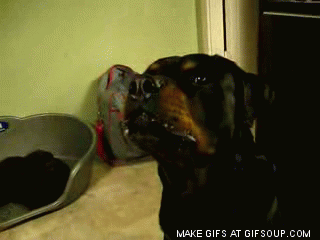 GIF comedy central cc ap - GIF animado en GIFER