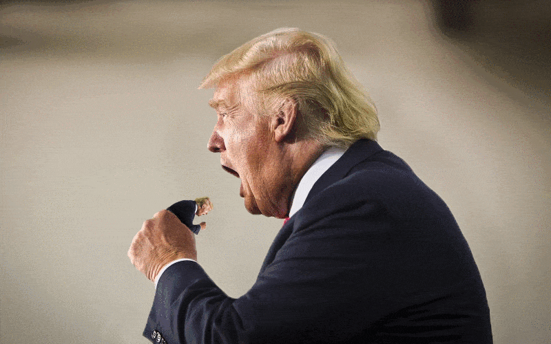 Trump GIF - Find on GIFER
