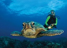 Transfers GIF - Find on GIFER