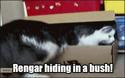 GIF hiding - animated GIF on GIFER