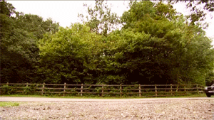 Top gear reliant robin fiat panda GIF - Find on GIFER