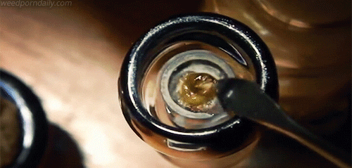Smoking stoner concentrate GIF - Find on GIFER