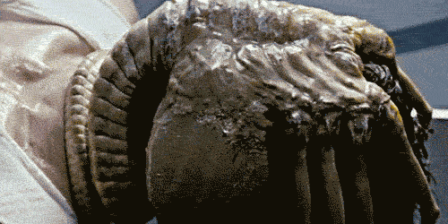 Facehugger alien GIF - Find on GIFER