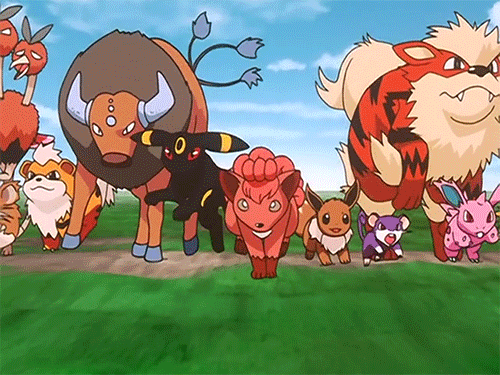 Eevee umbreon rattata GIF - Find on GIFER