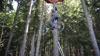 Show reality just GIF - Find on GIFER