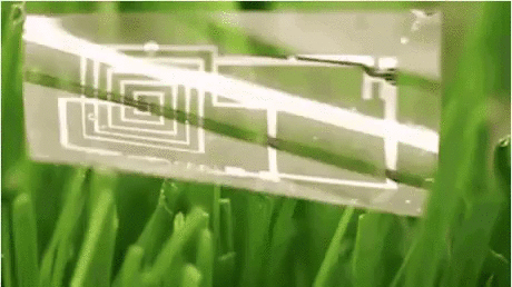Water wet circuits GIF - Find on GIFER