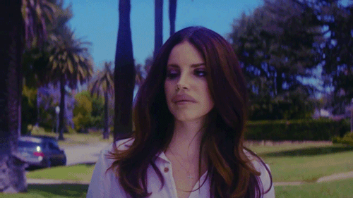 Ldr GIF - Find on GIFER