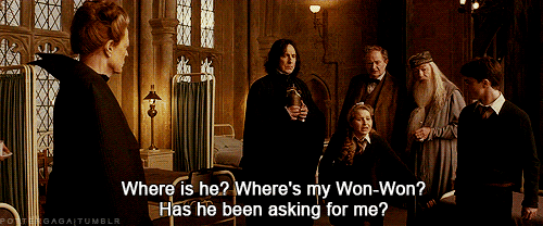 Albus dumbledore GIF - Find on GIFER