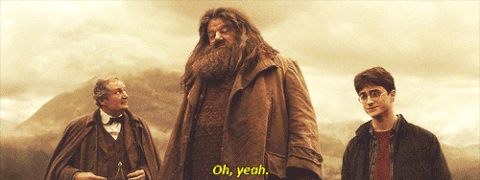 GIF hbp - animated GIF on GIFER